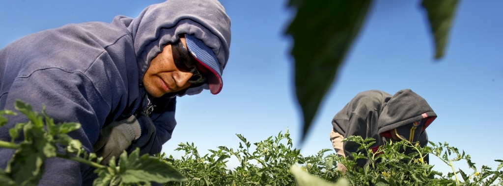 Job Training – Association of Farmworker Opportunity Programs