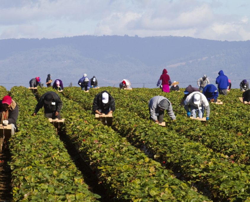 H&S Training Program – Association of Farmworker Opportunity Programs
