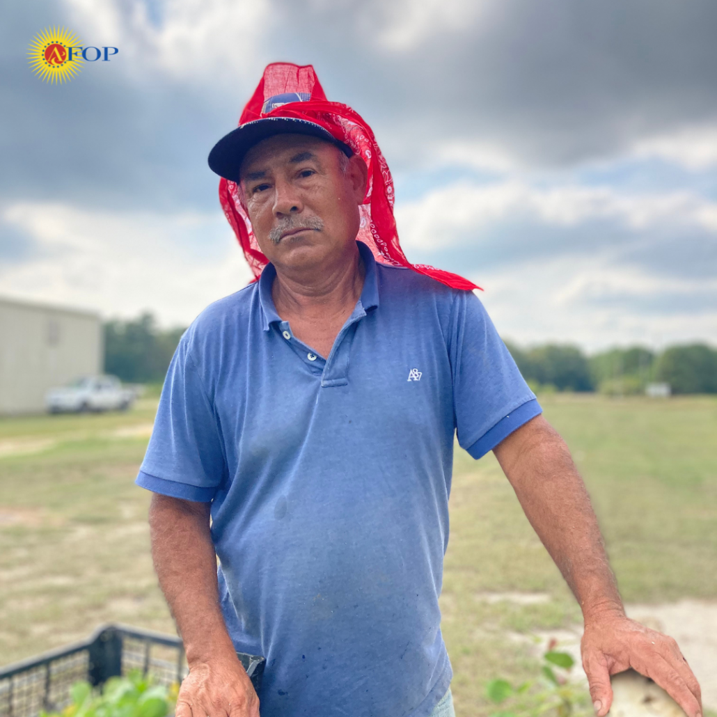 H&S Training Program – Association of Farmworker Opportunity Programs