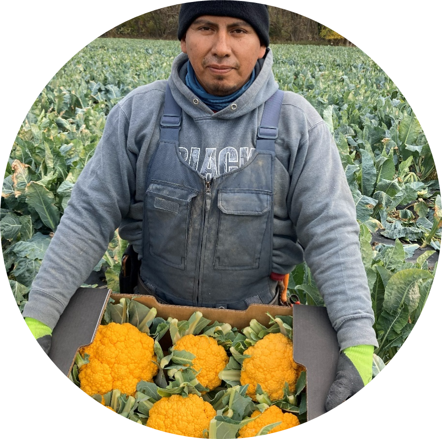 Association of Farmworker Opportunity Programs